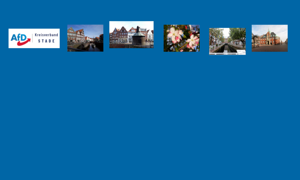 31.12.2024 Best of AfD-Fraktion im Bundestag 2024! - AfD Kreisverband Stade